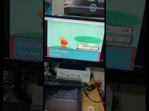 The proper way to play #pokemon emerald !