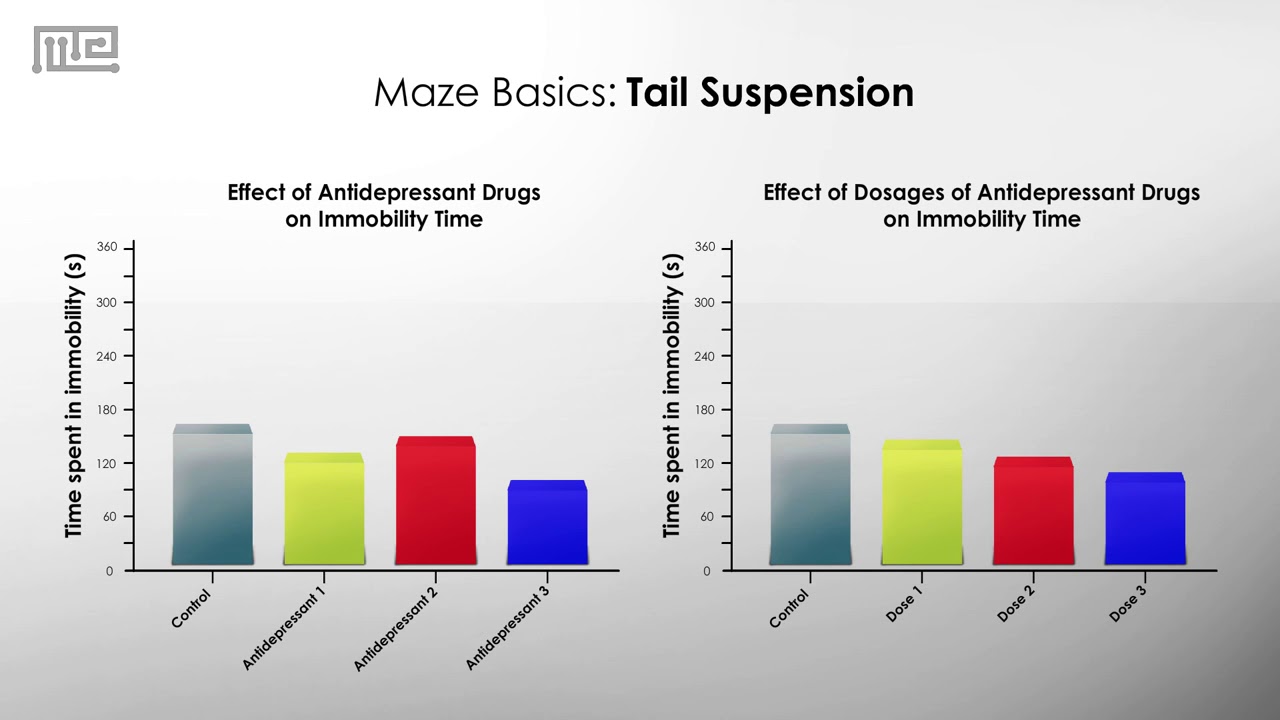Tail Suspension Test