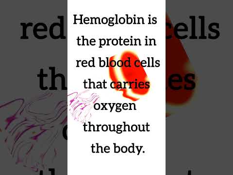 Hemoglobin//What is the primary function of hemoglobin?//What is hemoglobin important for?