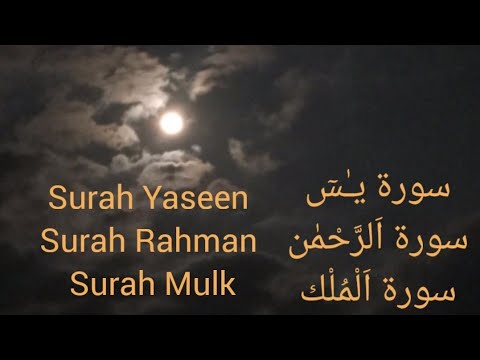 Surah Yasin | Surah Rahman | Surah Mulk With Urdu Translation