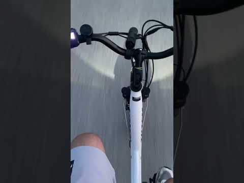 Totem electric bike from Temu for $310!