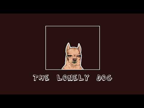 Un chien saute sur Zevyh explication