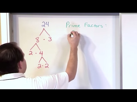 Lesson 6 - Prime Factorization - (5th Grade Math)