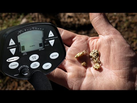 Will a Cheap Metal Detector Find Gold?
