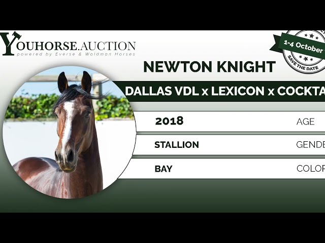 Youhorse.auction | Newton Knight