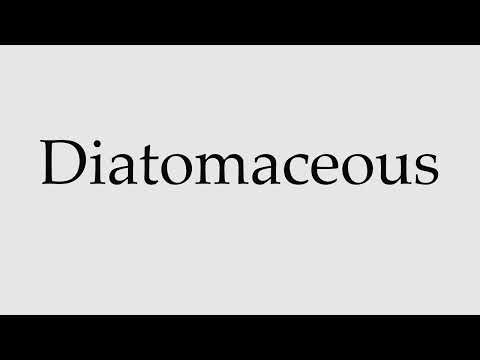 How to Pronounce Diatomaceous
