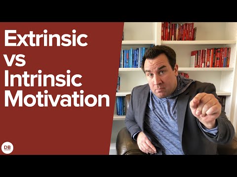 Extrinsic vs Intrinsic Motivation