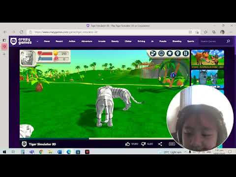 Playing Tiger Simulator (Part 1)