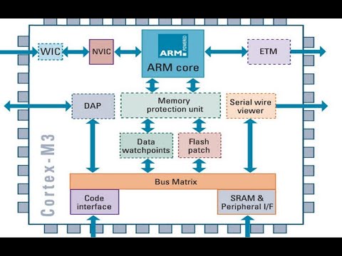 Arm Processor