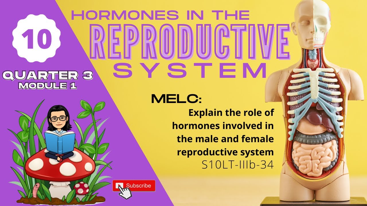 Grade 10 SCIENCE | Quarter 3 Module 1 | Hormones in the Reproductive System