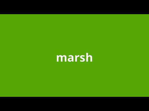 what is the meaning of marsh.
