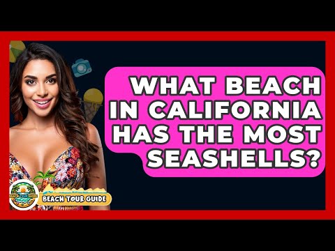 What Beach In California Has The Most Seashells? - Beach Tour Guide