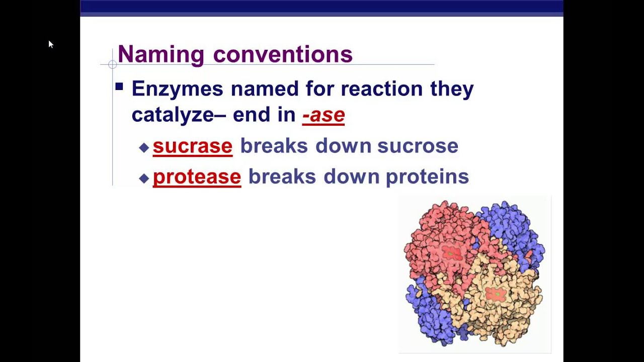 Enzymes