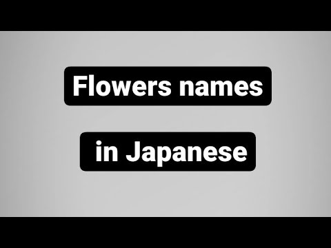 beautiful flowers names in Japanese