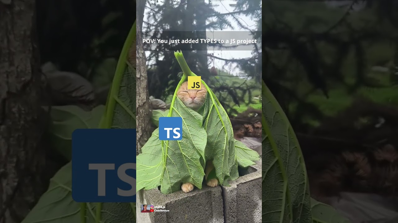 protected from runtime errors #coding #programming #javascript #python