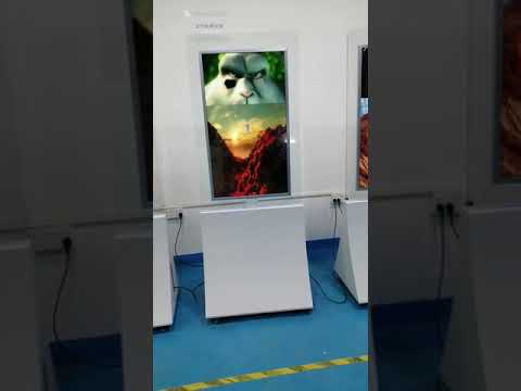Double screen digital signage