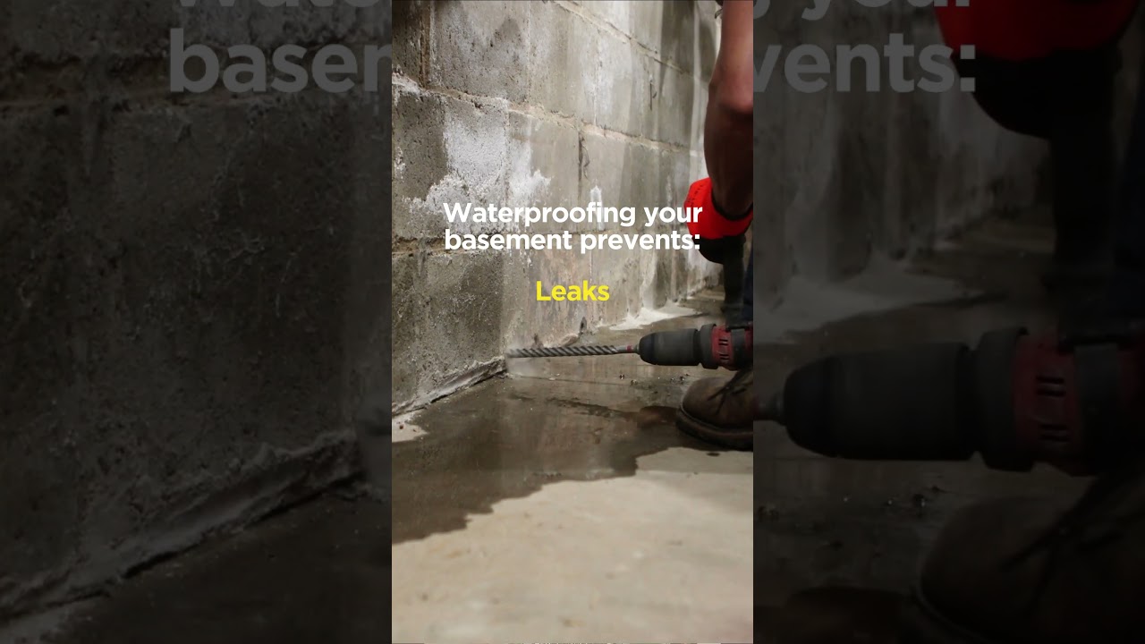 Waterproofing Your Basement Prevents Mold, Leaks, and Moisture! #basementwaterproofing #wetbasement