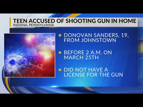 Johnstown teen accused of firing weapon in Indiana County residence
