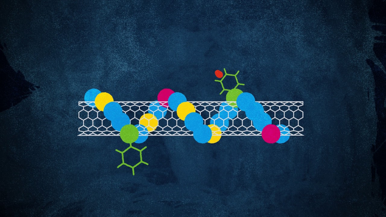 Nanosensors & Cancer: Tiny Tools to Play Big Role