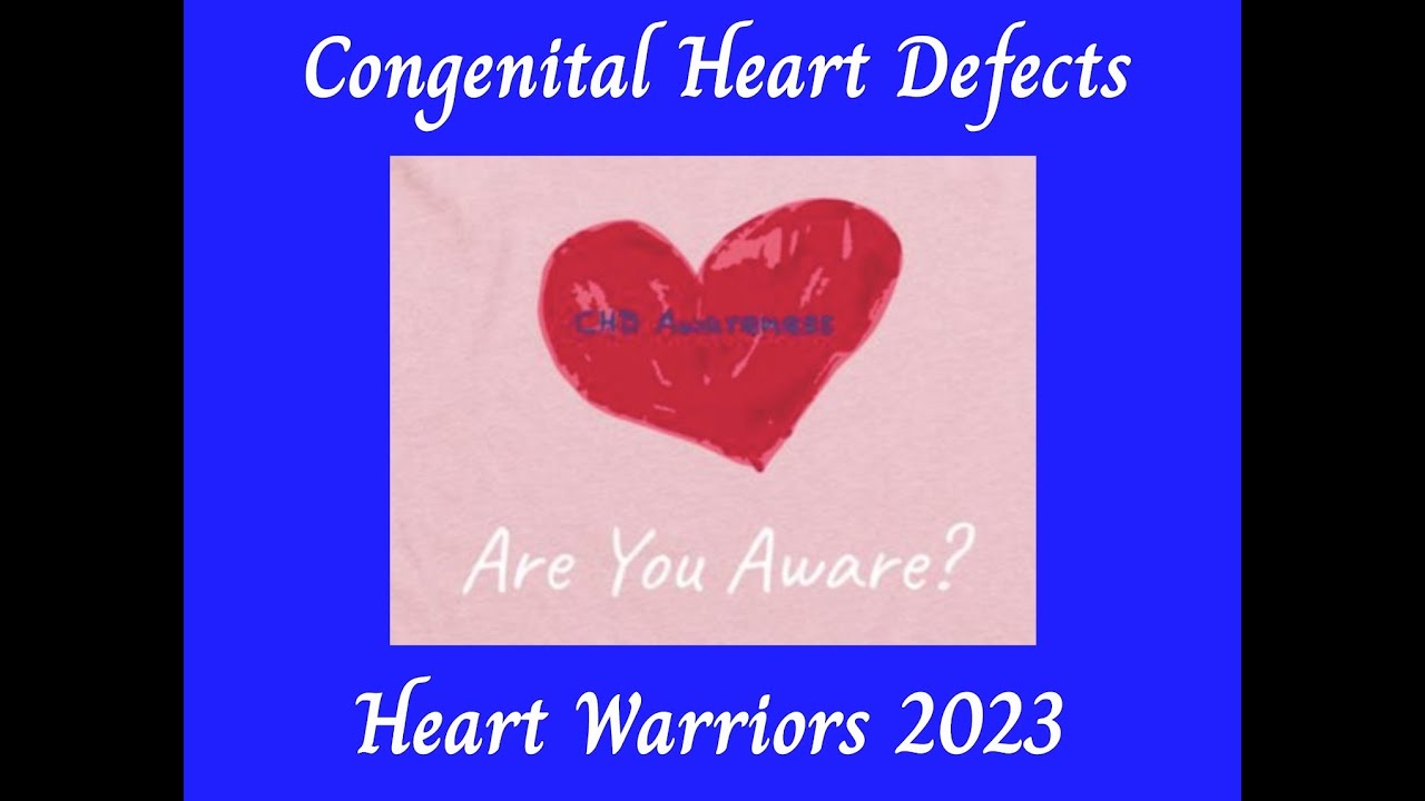 Congenital Heart Defects ~ Are You Aware? (Heart Warrior/Heart Warrior Angels) Myannas Heart Totes