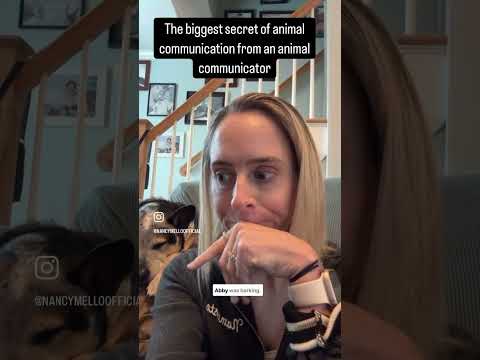 The biggest secret of animal communication from an #animalcommunicator #animalcommunication