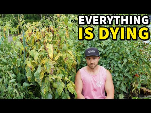 My Garden Is DYING And I Want To Give Up