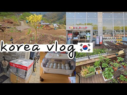 Впервые в жизни уволила человека ^^ KOREA VLOG