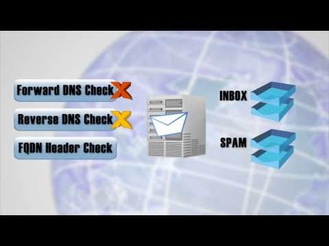 How Reverse DNS Works