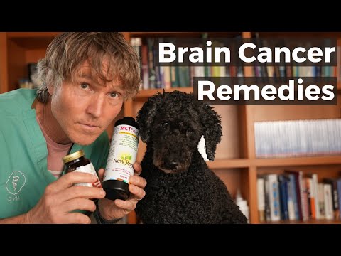 Brain Tumors in Dogs: Home Remedies
