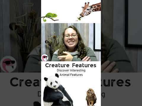 Creature Features: Discover Interesting Animal Features! | Full Lesson Plans | Flock School