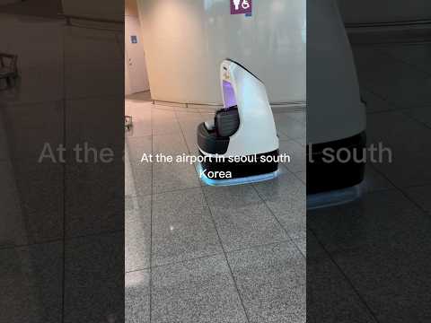 This airport robot Carrie’s your luggage for you
