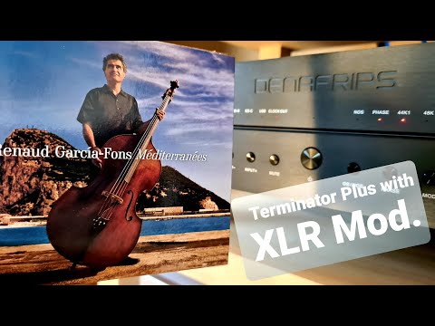 I did it again ! XLR Mod Denafrips Teminator Plus Watch 4K !!