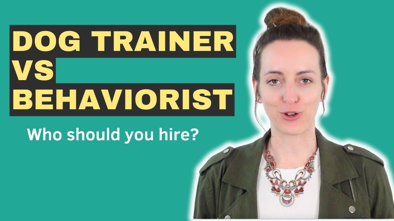 3 Differences Between Dog Trainers and Behaviorists You Need To Know PLUS The New Movement In 2023