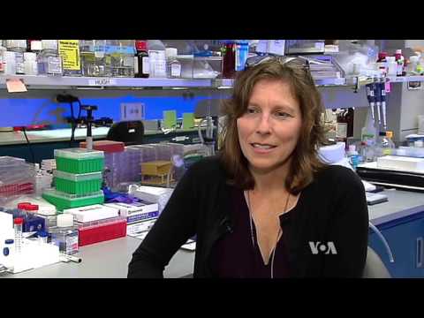 Controlling Lifestyle and Environmental Factors in the Fight Against Cancer