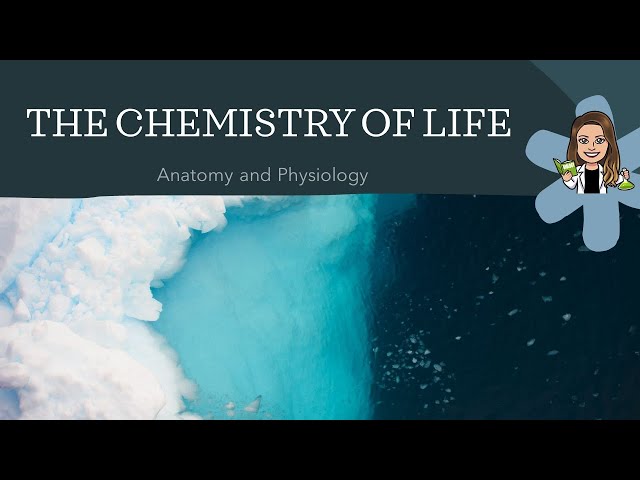 Understanding the Chemistry of Life: A Comprehensive Guide to Anatomy ...