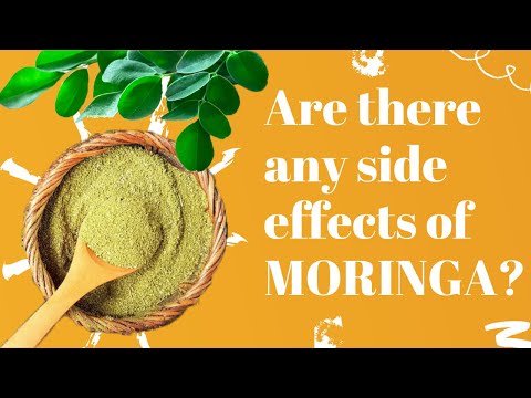 Are There Any Side Effects of Moringa II Disadvantages of Moringa Powder