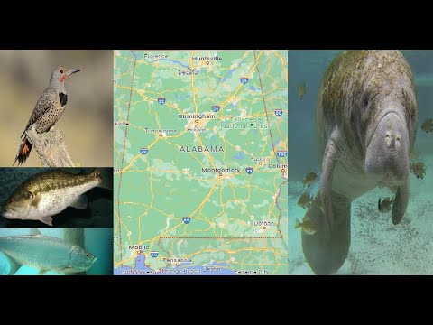 Alabama State Animals