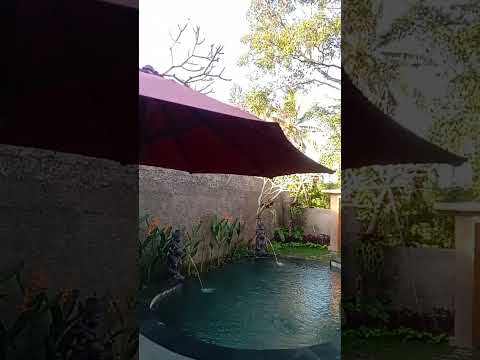 D' Ethnic ubud is Brand New One-Bedroom Private Pool Villa with Jungle View, Sunrise and Sunset