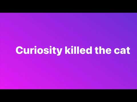 Idiom : Curiosity killed the cat (Meaning)