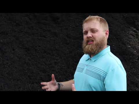 Black Mulch