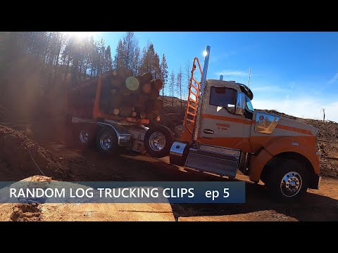 Random Log Trucking Clips ep5