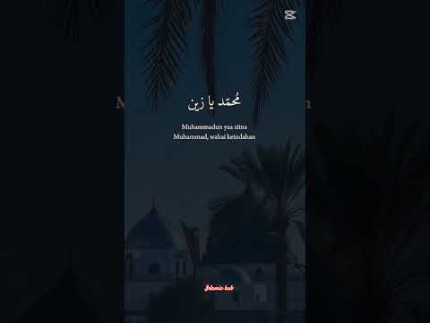 Qalbi fil madina