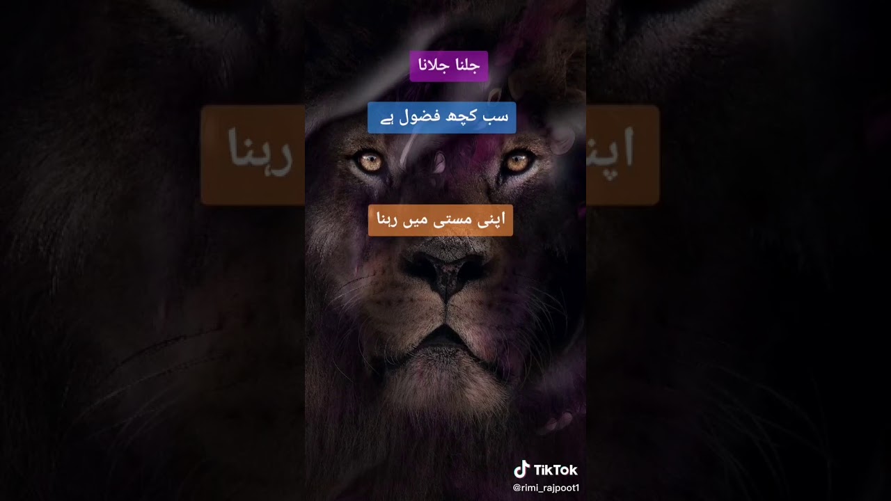 🙄🙄Attitude Whatsapp Status🙄🙄