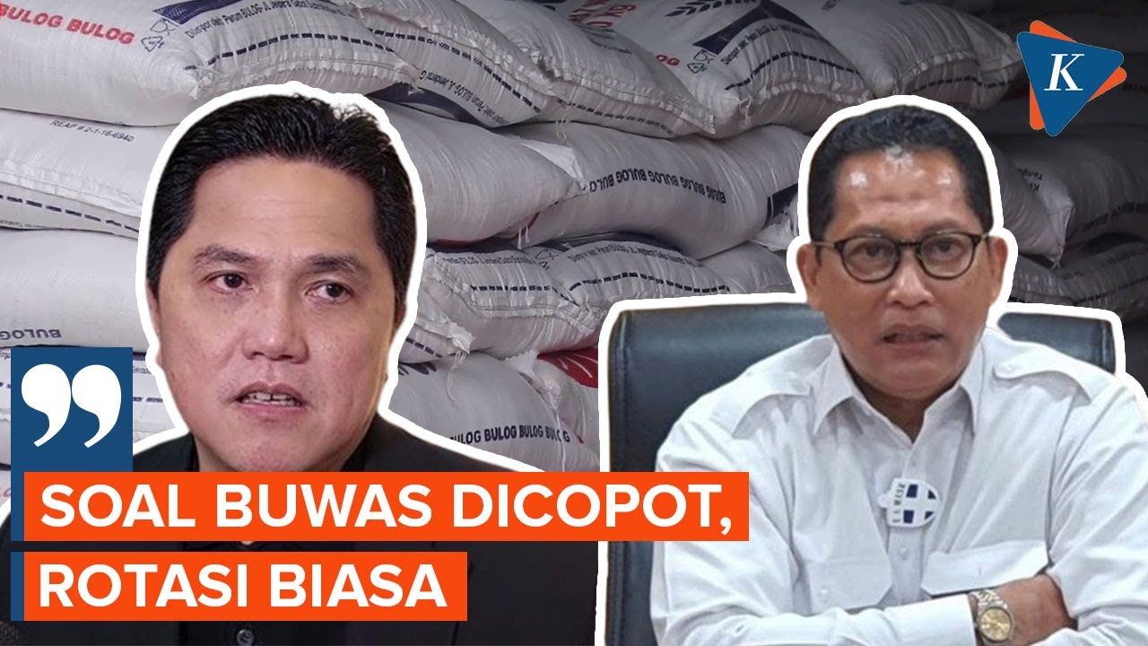 Alasan Erick Thohir Copot Buwas dari Dirut Bulog