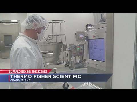 Buffalo Behind the Scenes: Thermo Fisher Scientific