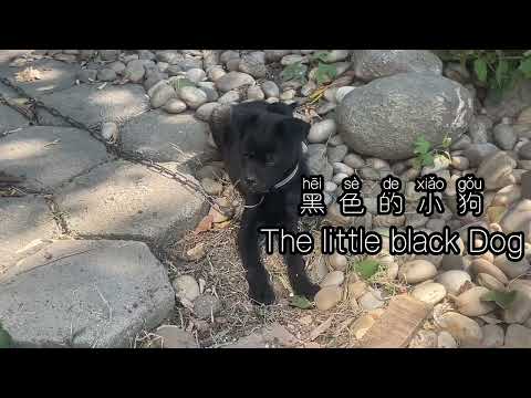 How to say [puppy] in Chinese?