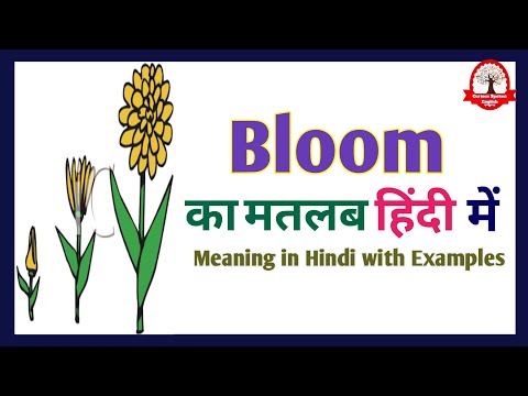 Bloom meaning in Hindi | Bloom का अर्थ क्या होता हे | Bloom meaning Explained in Hindi