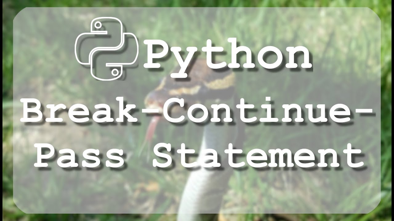 #10 Learn to use Python break, continue, pass statements
