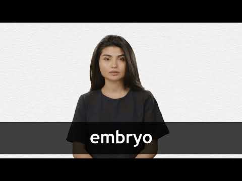 EMBRYO definition and meaning | Collins English Dictionary