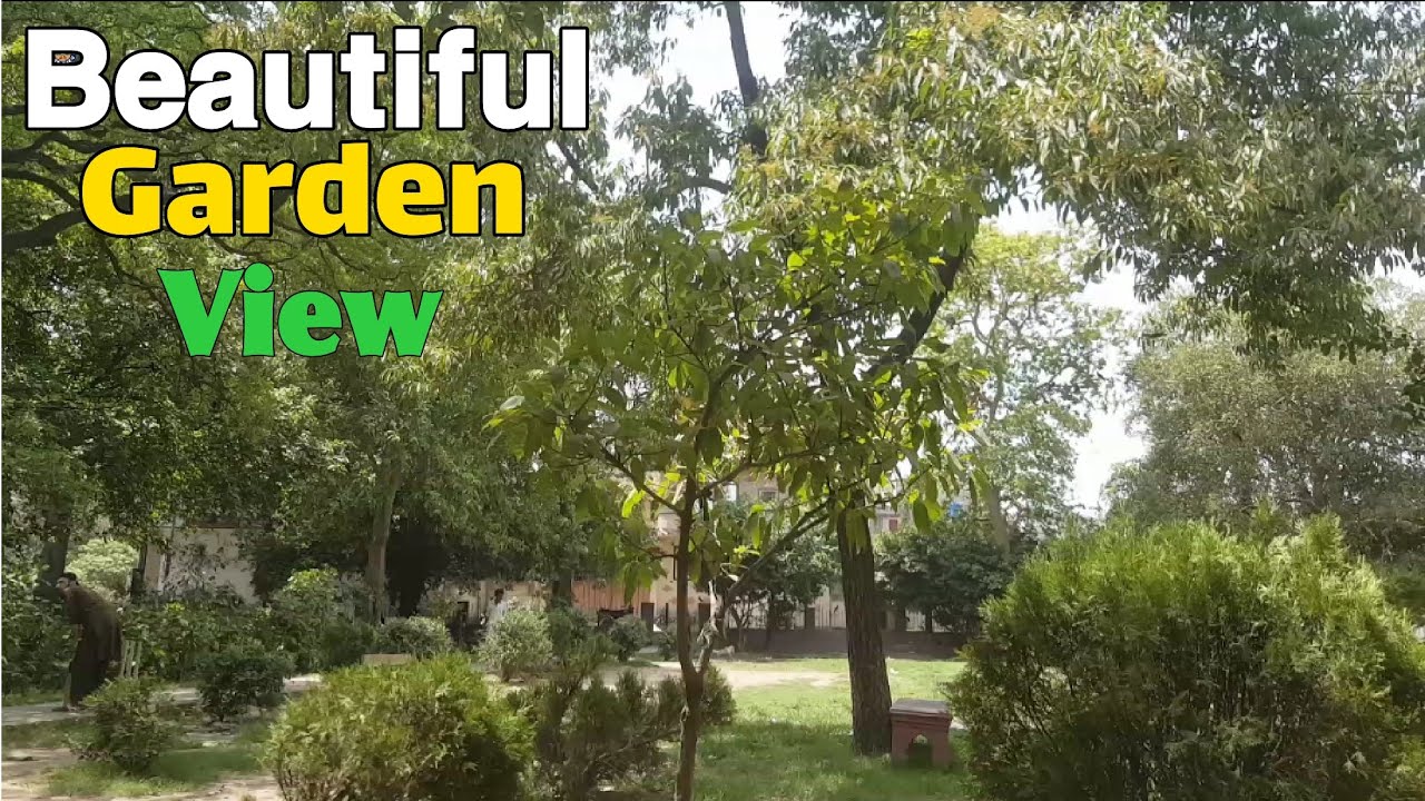 Beautiful Garden View Nature clip. M.A